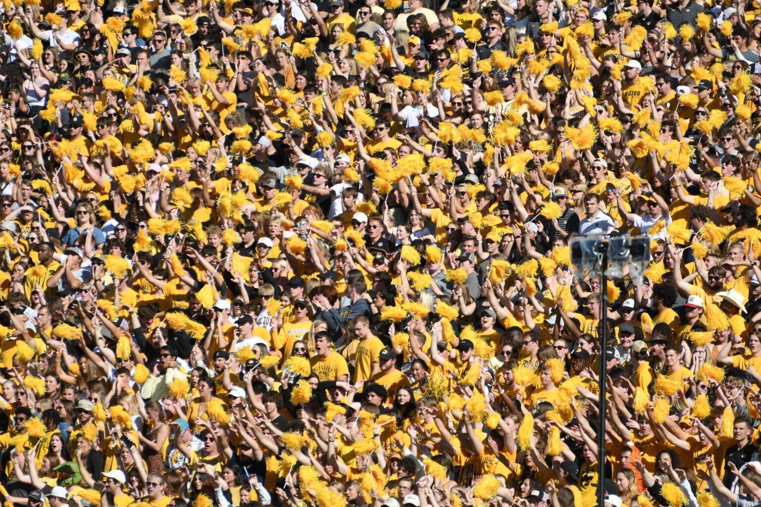 Tigers sign three from the transfer portal – Rock M+